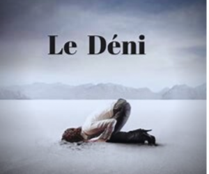 Comprendre le déni. Comment s’en sortir/ac-coaching-montpellier